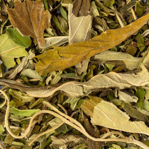 Feuilles de Chanvre BIO | Tisane | Thés & Traditions